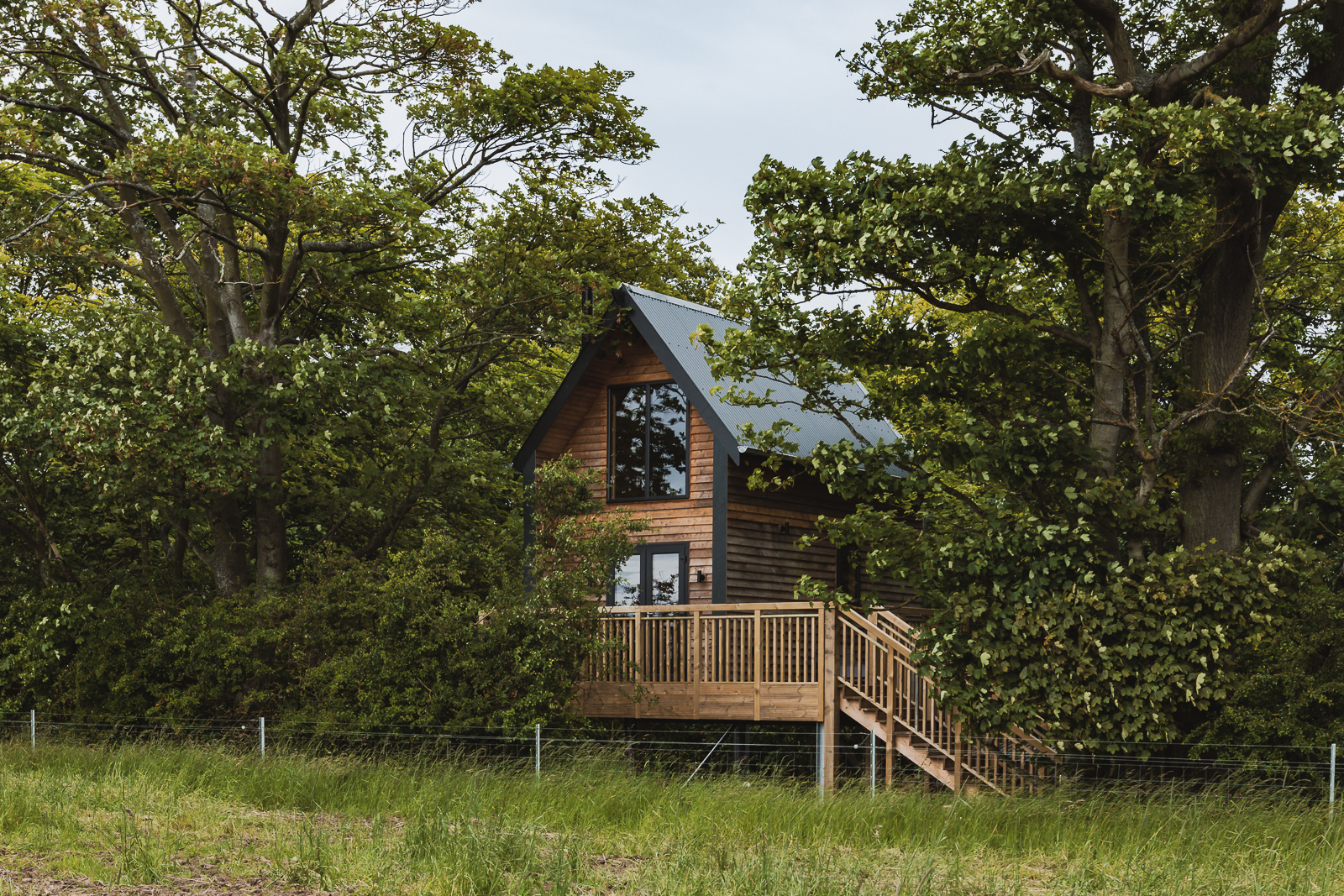 The Dell Treehouse – Madeira In Fife